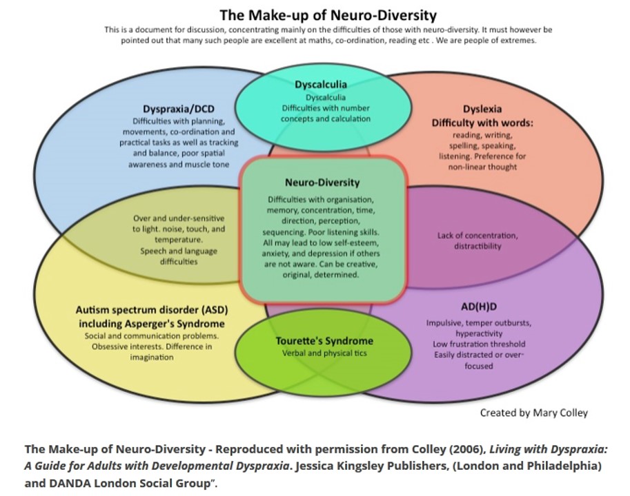 Proposing the “Medi-Social© Model of Disability and Neurodivergence” I ...